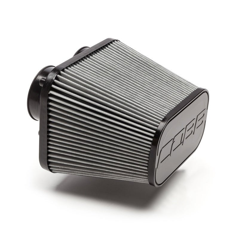 Cobb 17-20 Ford F-150 Raptor High Flow Replacement Dry Media Air Filter ...